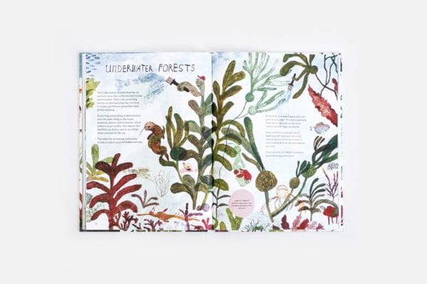 Seaweed Learning - Seaweed